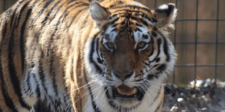 Brandywine Zoo - Wilmington, DE | I-95 Exit Guide