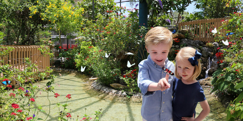 Butterfly World - Coconut Creek, FL | I-95 Exit Guide